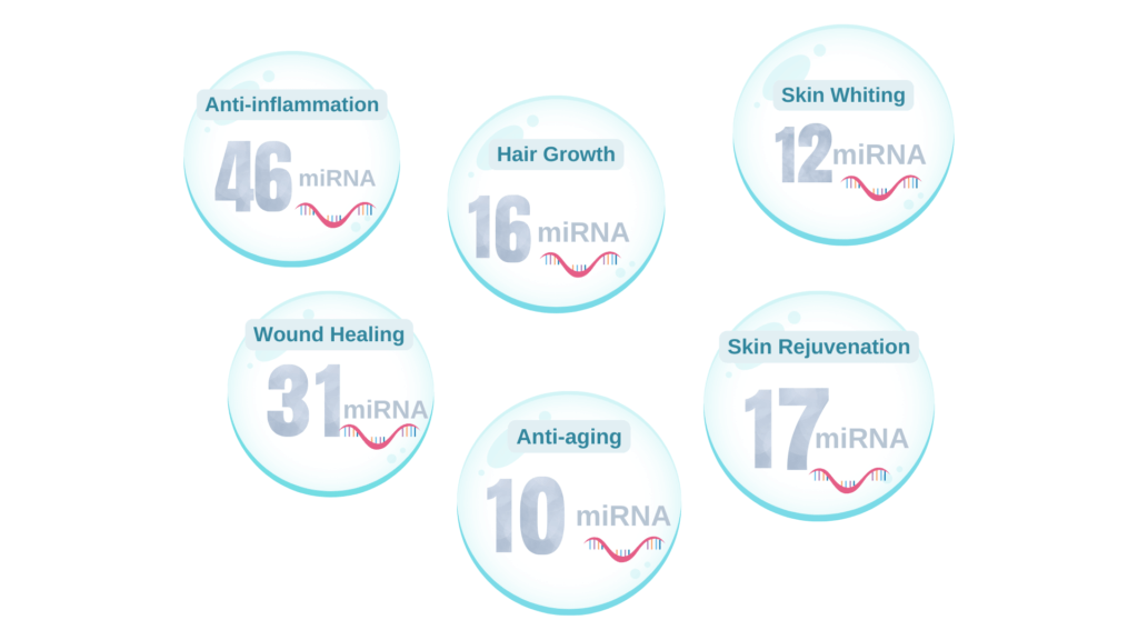 ExoGiov Cosmetics－AM BioTech Co., Ltd.